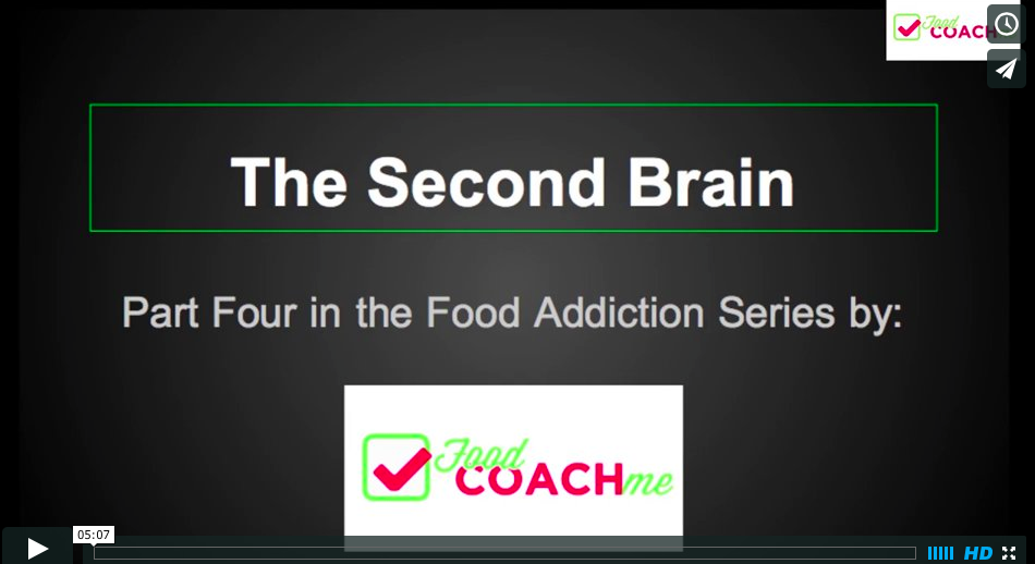 Part Four Food Addiction Series: The Second Brain | Bariatric Food Coach