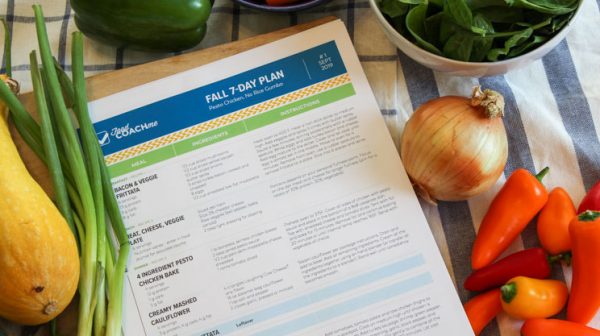 Bariatric Surgery Meal Plans | Bariatric Food Coach
