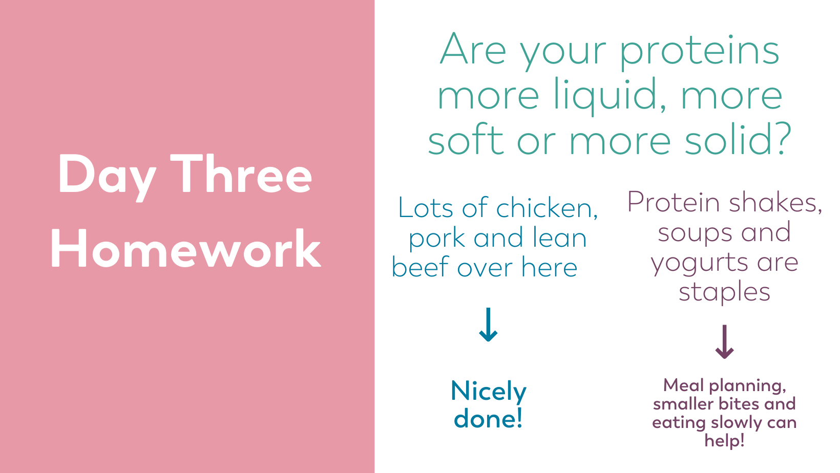 Day 3 Habit Refresh: Protein Textures